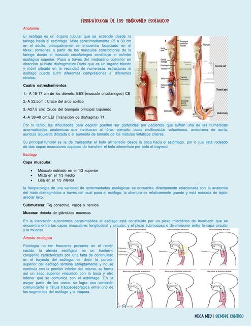 Síndrome Esofágicos | MEGA MED | uDocz
