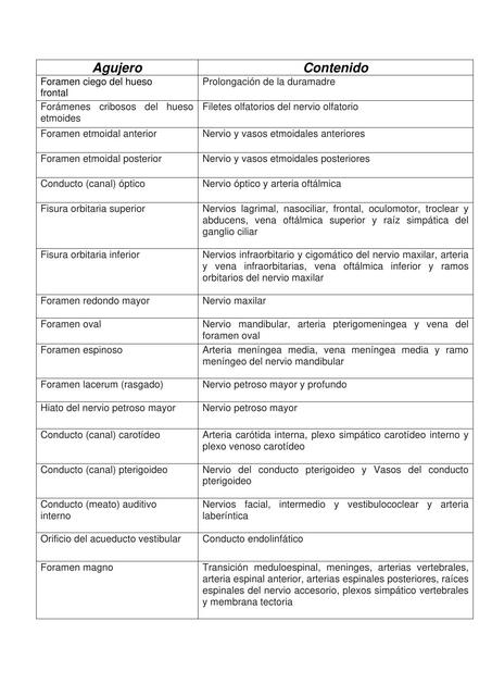 Foramenes | wil rod | uDocz