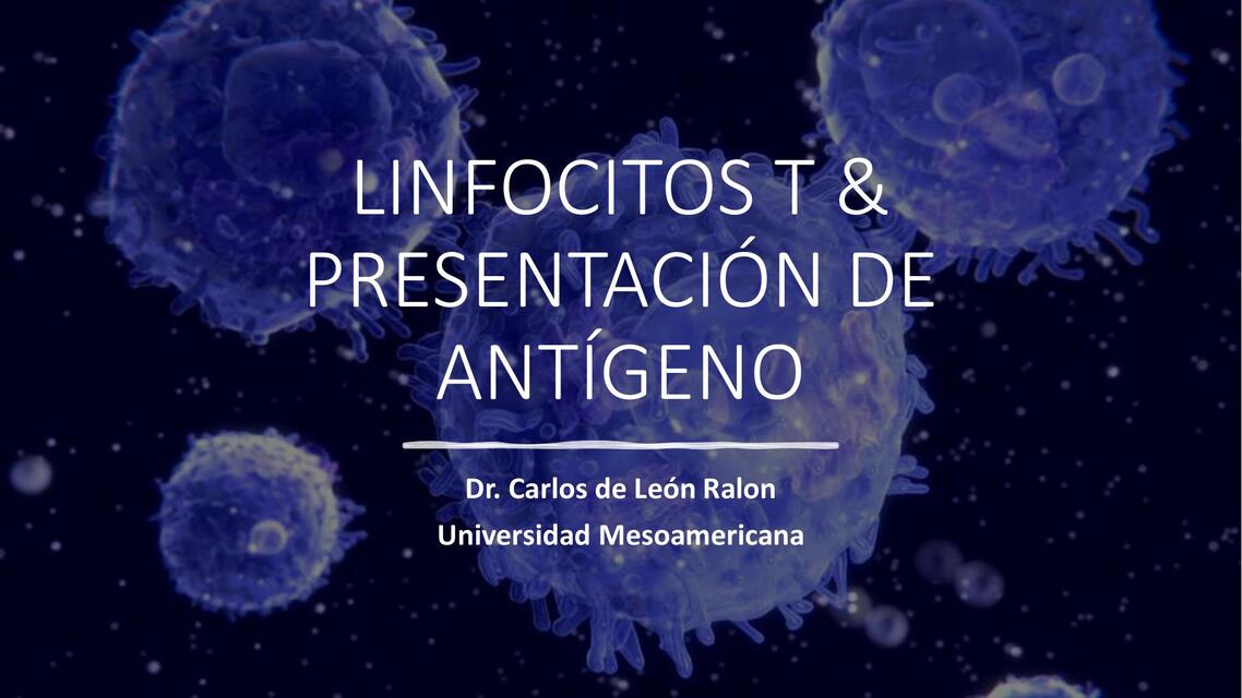 Linfocitos T Y presentación de Antígeno | Elsa Rubio | uDocz