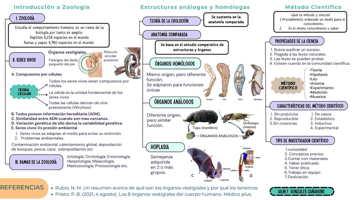 Introducción a la Zoología y Estructuras Análogas y Homólogas | uDocz