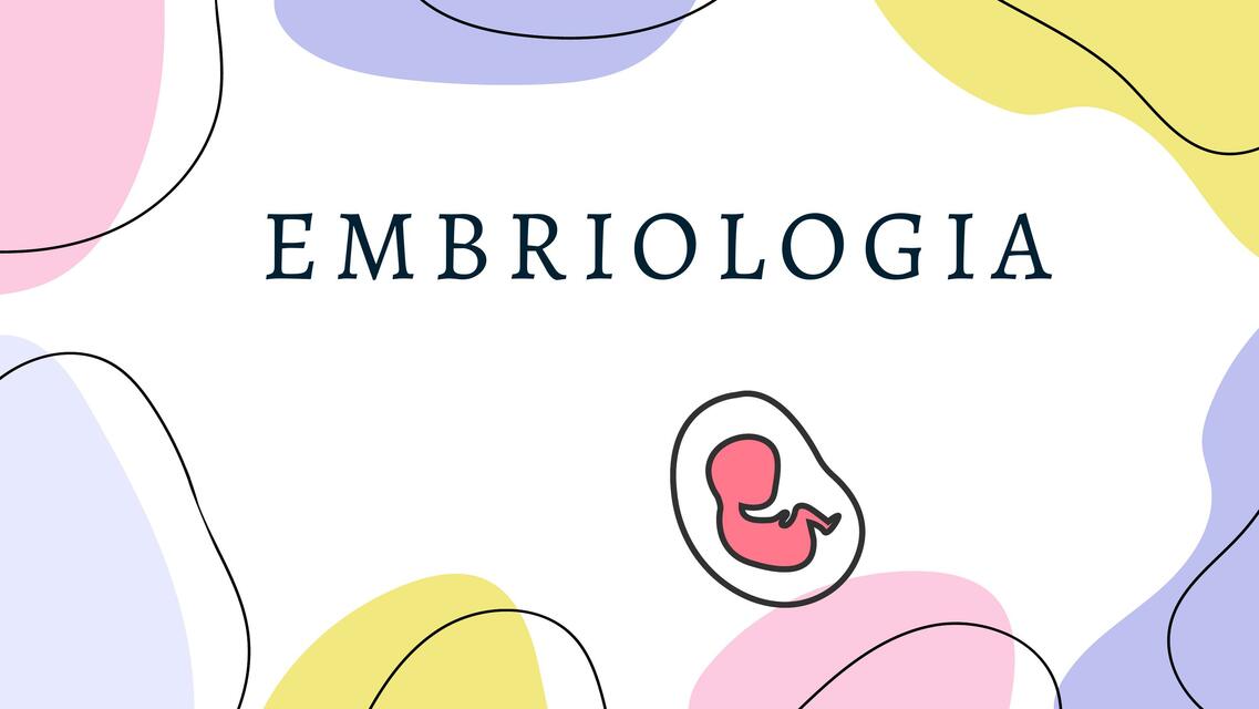 Embriología | Andrea Ortiz | uDocz