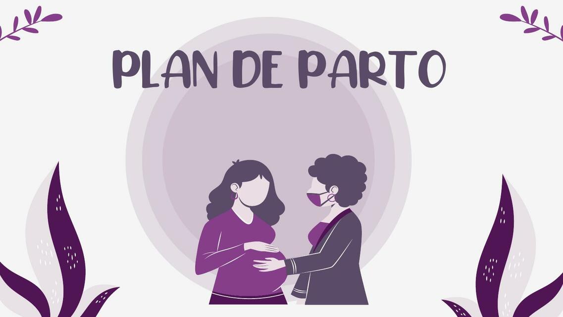 Plan de parto | Luciana Del Carmen Tripul Rodriguez | uDocz
