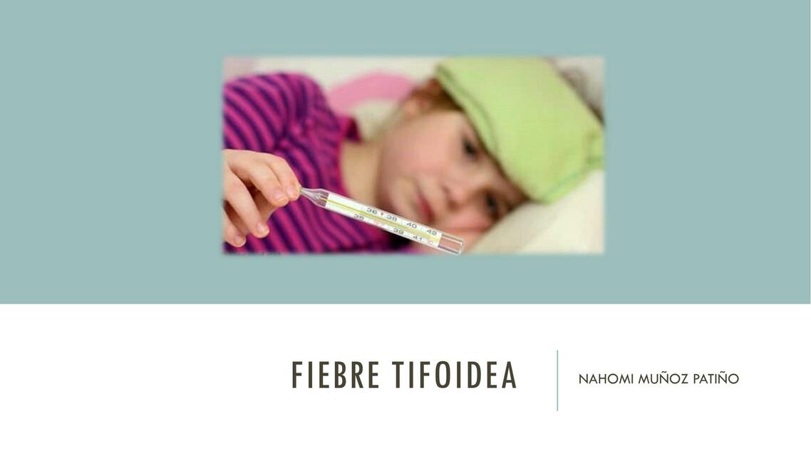 Fiebre Tifoidea | nahomi muñoz | uDocz