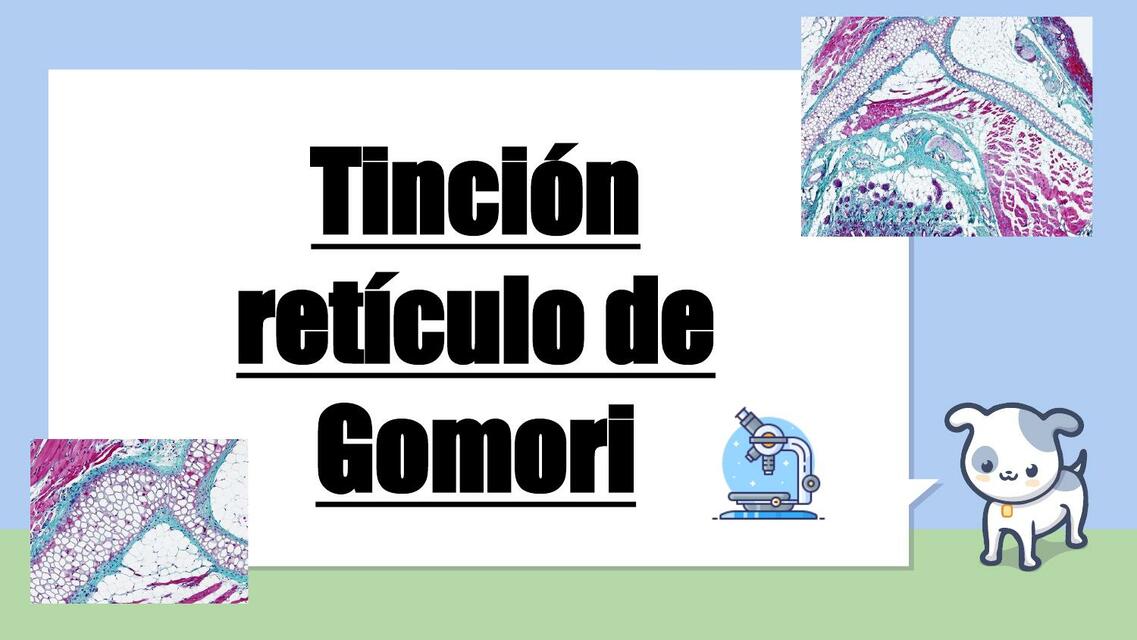 Tinción tricrómica de Gomori | uDocz