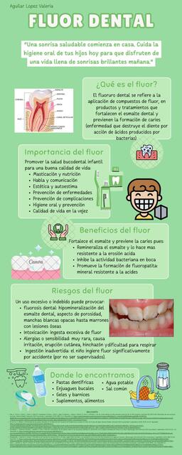 Fluor dental (para los padres) | Valeria Aguilar López | uDocz