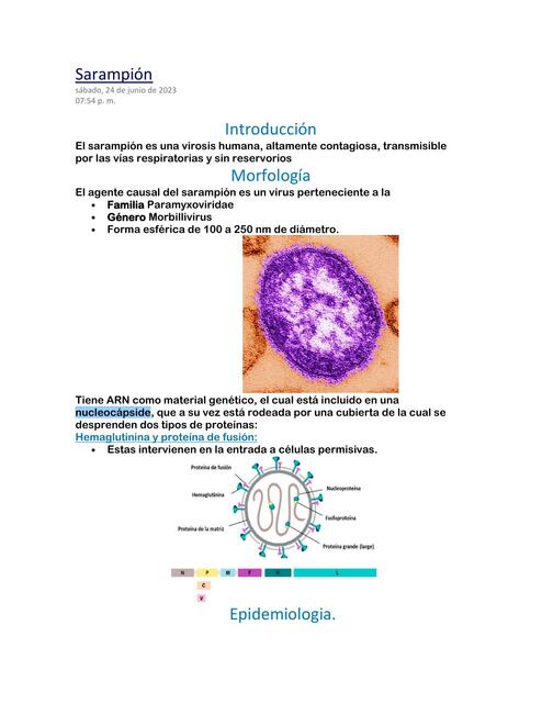 Sarampión | MAXY AGUILAR | uDocz