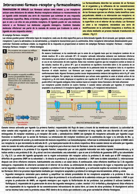 interacciones farmaco receptor | Patricia Cebrian Zarate | uDocz