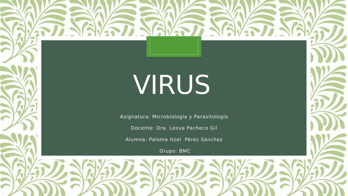 Clasificación de los Virus | Paloma Itzel Pérez Sánchez | uDocz