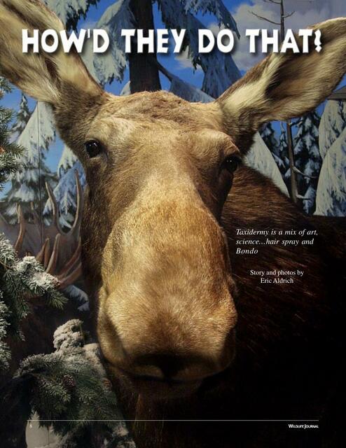 How'd they do that? | Mauricio Muñoz | uDocz