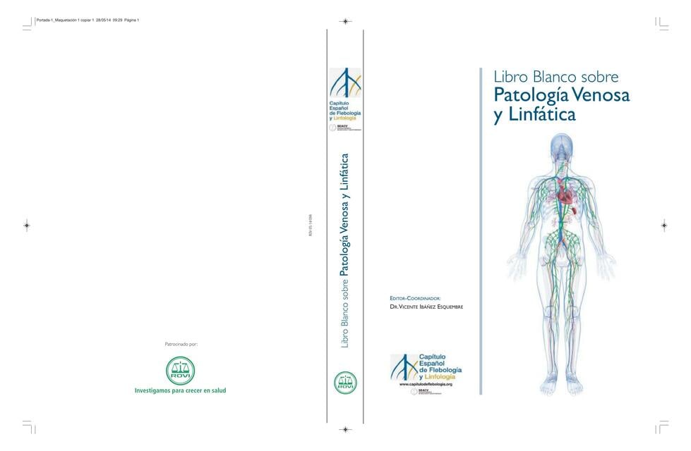 Resúmenes de Patología linfática | Descarga apuntes de Patología linfática