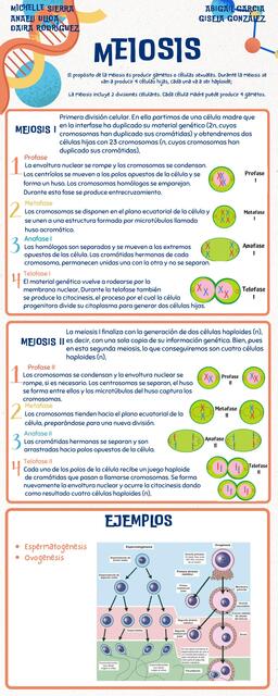 Meiosis | GABRIELA ANAELI ULLOA GONZALEZ | uDocz