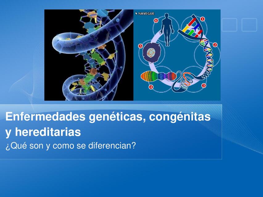 Enfermedades genéticas, congénitas y hereditarias | dymedicina | uDocz