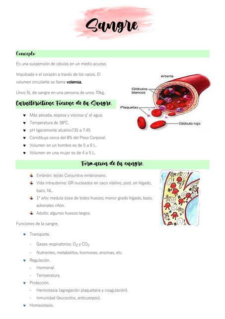 Sangre | Florencia Rauna | uDocz