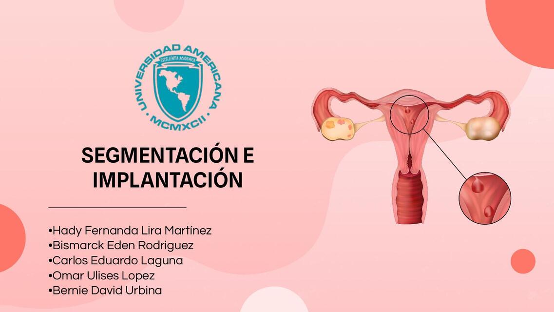 Seminario e Implantación | Hady | uDocz
