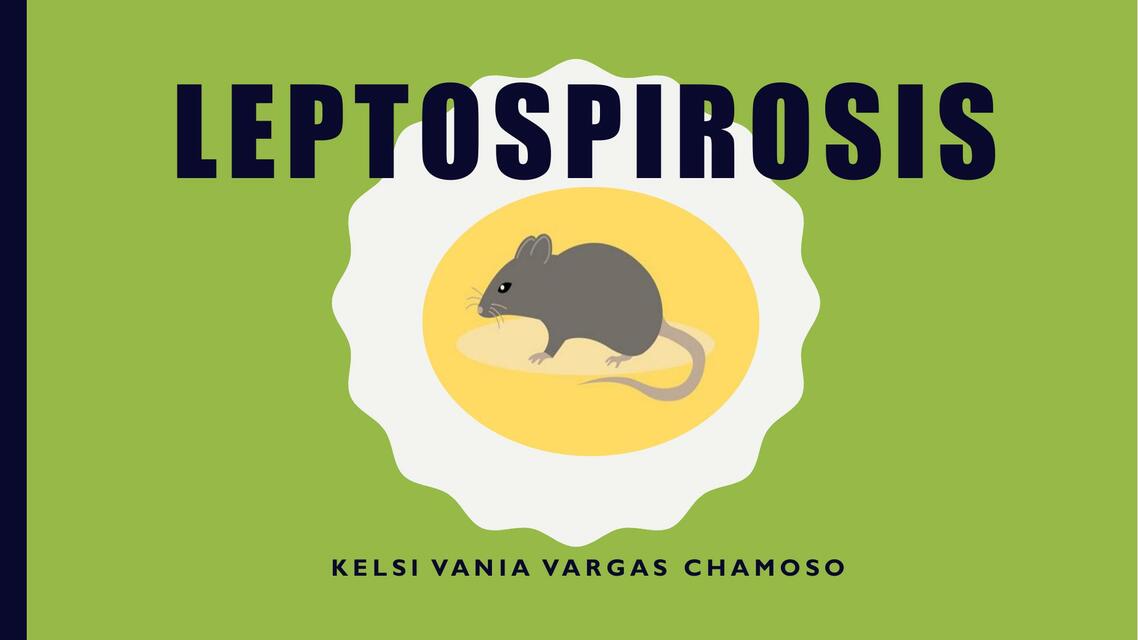 Leptospirosis | Kelsi VC | uDocz