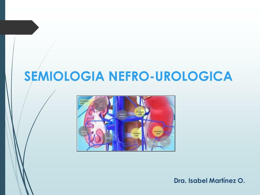 Semiología Nefro-Urológica | Pamela Saavedra Cossio | uDocz