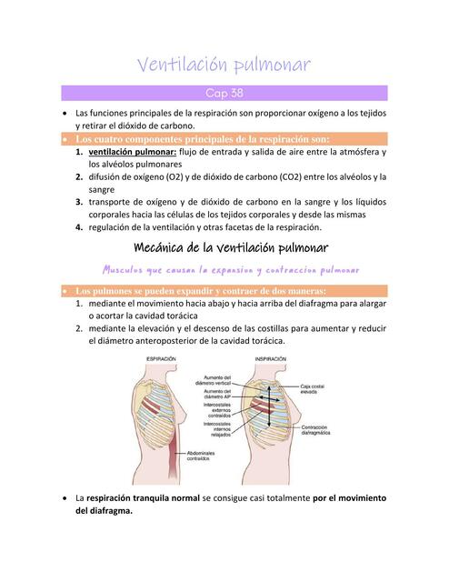 Ventilación Pulmonar | CARMINA MARISOL SAMAYOA RUIZ | uDocz