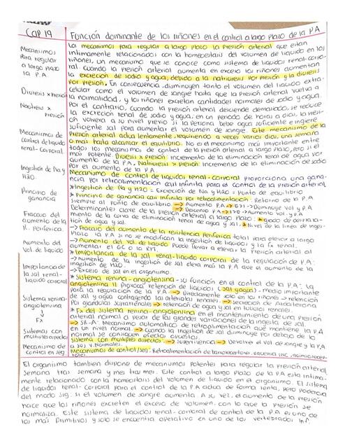 Función dominante de riñones | Ana Paulina Flores Vazquez | uDocz
