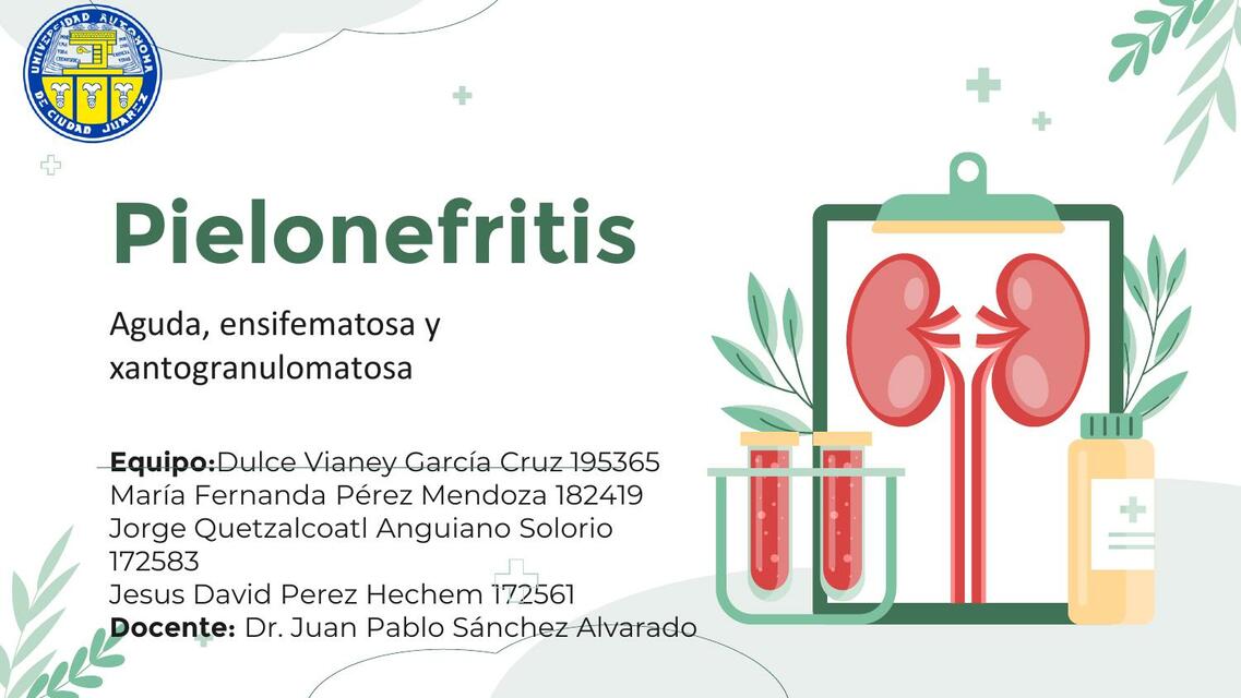 Pielonefritis Urología | uDocz