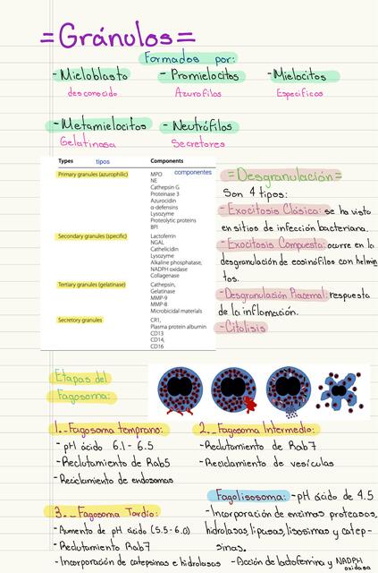 Gránulos | CLAUDIA CS | uDocz