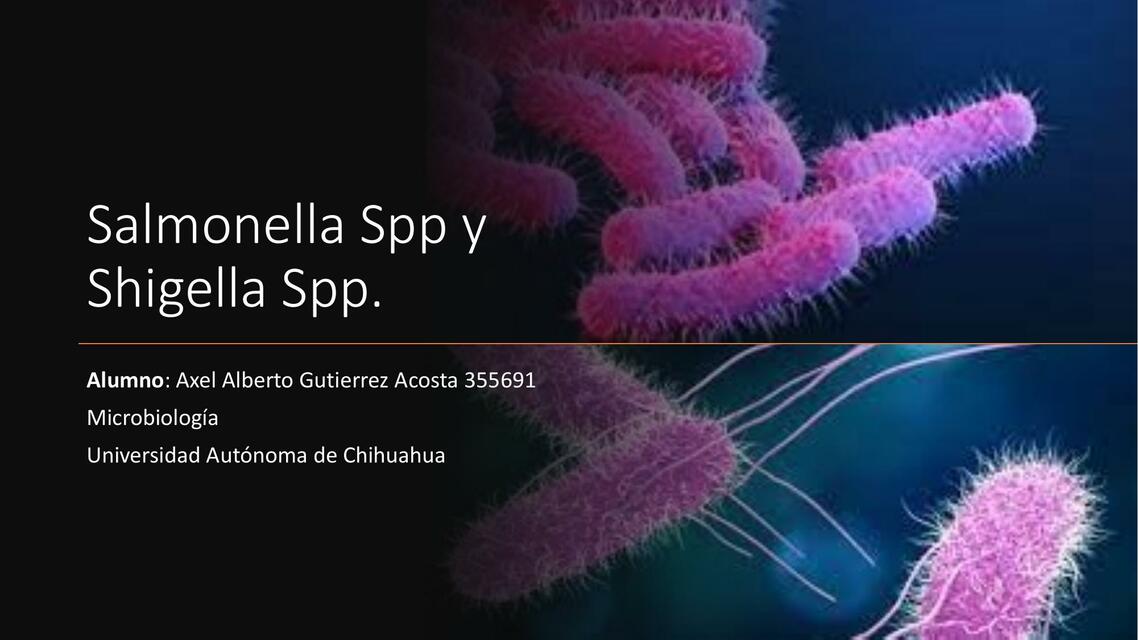 Salmonella Spp y Shigella Spp | Axl gtz | uDocz