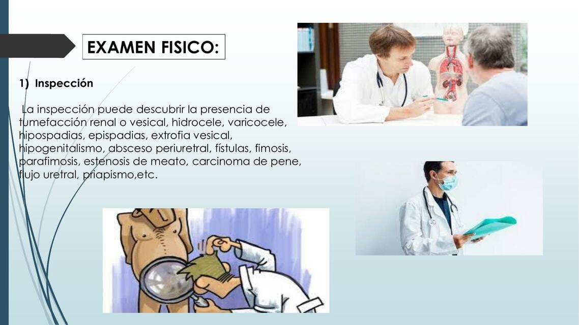 Examen físico urológico | Escuela medica | uDocz
