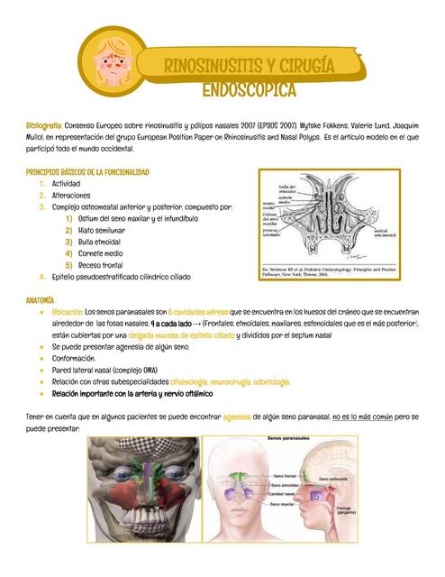 Rinosinusitis y cirugía endoscópica | Paula | uDocz