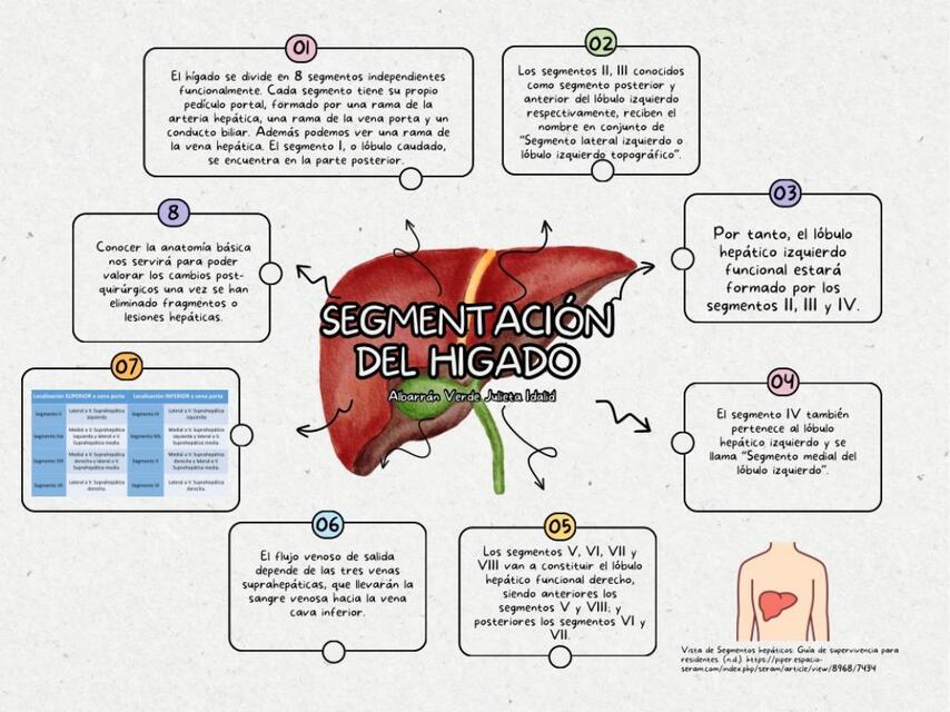 Segmentación del hígado | uDocz