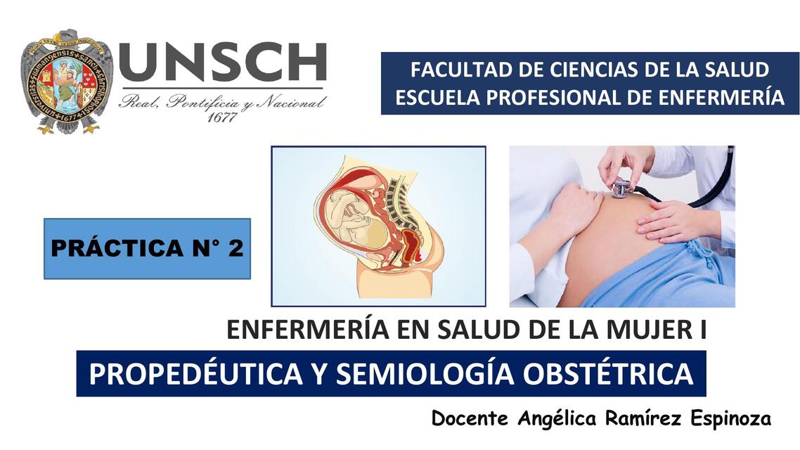 Propedéutica y Semiología obstétrica | Armando | uDocz