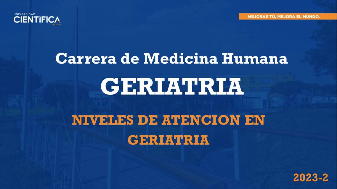 Niveles De Atención En Geriatría Linda Lauren Rodriguez Ruiz Udocz