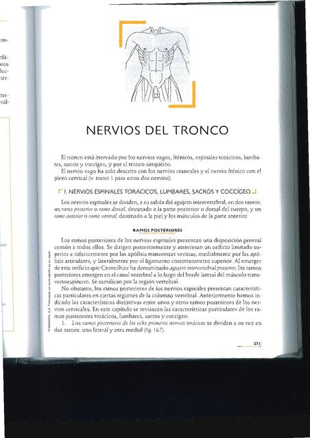Anatomía humana descriptiva, topográfica y funcional. Tomo 2. Tronco de ...