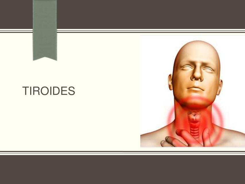 Flashcards de Tiroides | Por Maria Fernanda Carmona | uDocz