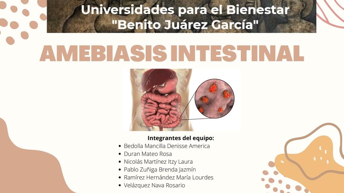 Amebiasis intestinal | 26. PABLO ZUÑIGA BRENDA JAZMIN | uDocz