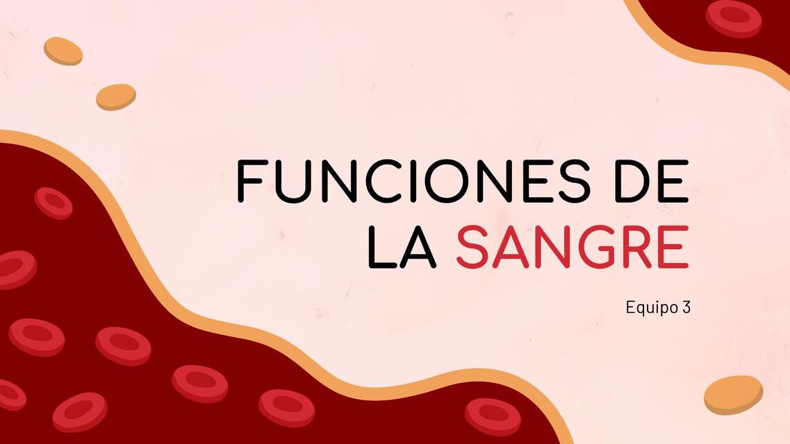 Función de la sangre | Daily Medicine | uDocz