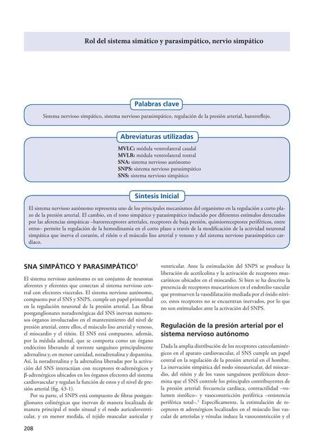 Rol del sistema simpático y parasimpático, nervio simpático | Biología ...
