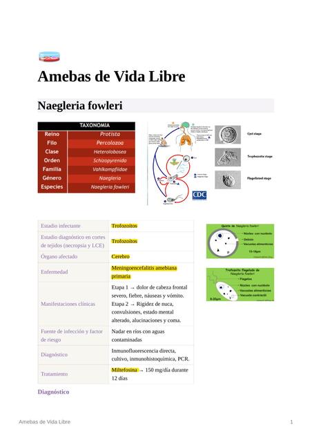 Amebas de Vida Libre | PR AV | uDocz