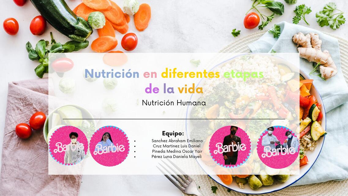 Nutrición en las diferentes etapas de la vida | Perri | uDocz Nutrición en las diferentes etapas de la vida | Perri | uDocz