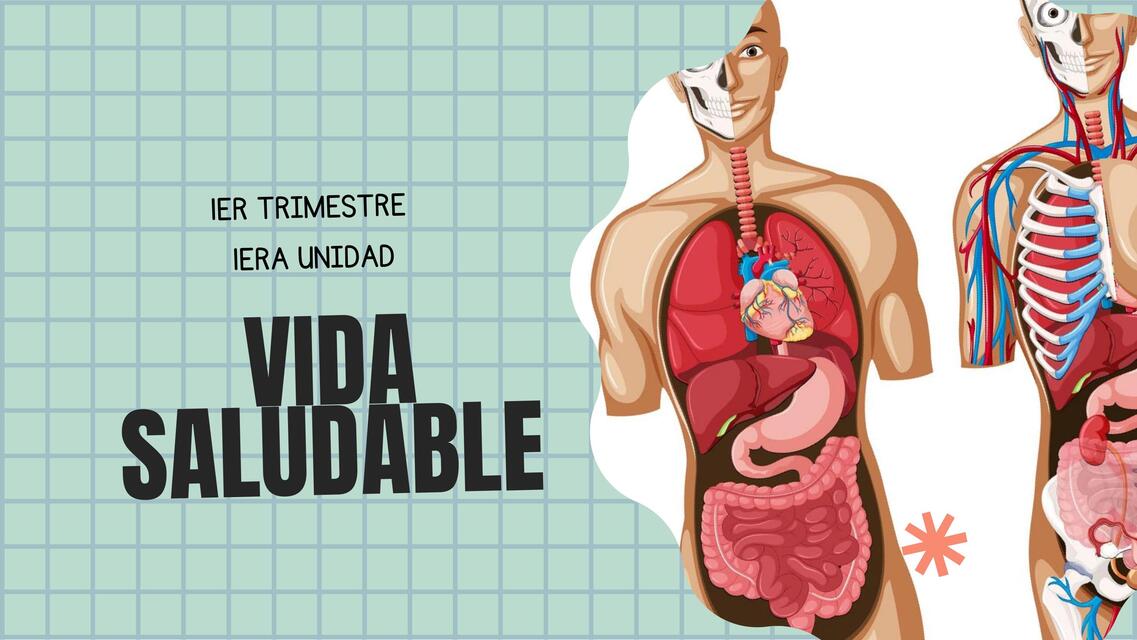 Vida Saludable | Esbeyde Elizama | uDocz