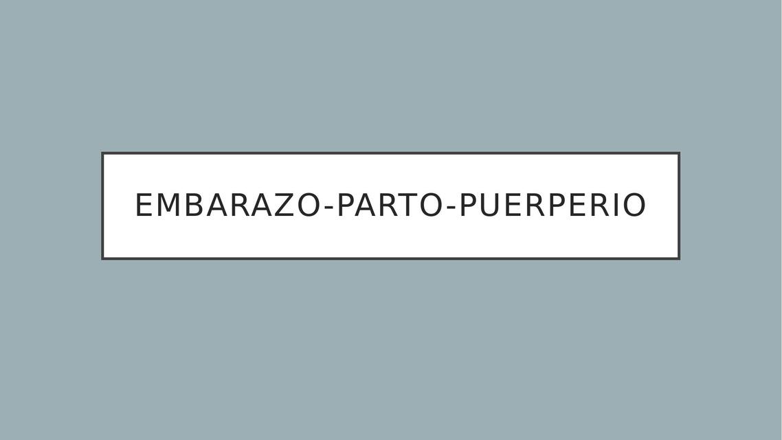 Embarazo parto puerperio | Maria Chambi | uDocz