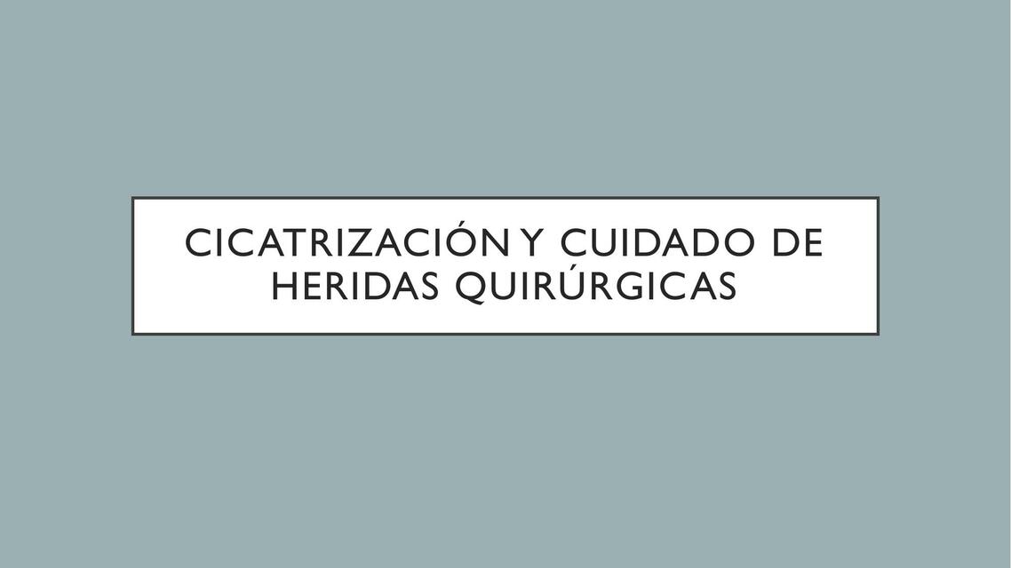 Cicatrización y Cuidado de Heridas Quirúrgicas | Brenda Estacio | uDocz