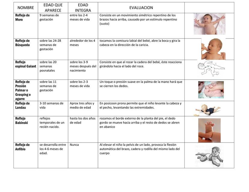 Reflejos primitivos | Linda SC | uDocz