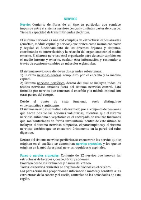 Nervios | Tatiana Luz | uDocz
