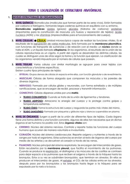 Tema 1. Localización de estructuras anatómicas | Esmeralda Cruz Delgado | uDocz