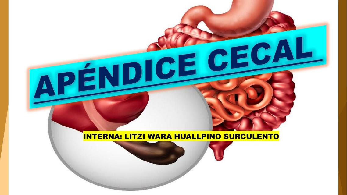 Apéndice cecal | litzi huallpino | uDocz