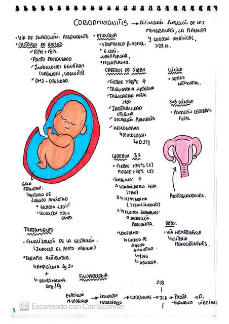 Corioamnionitis | Lapiz Medico | uDocz