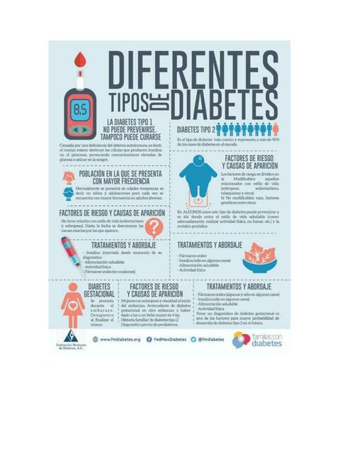 Diferentes tipos de diabetes | veronica | uDocz