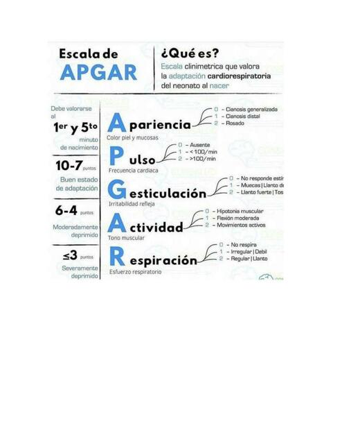 Escala de APGAR | veronica | uDocz