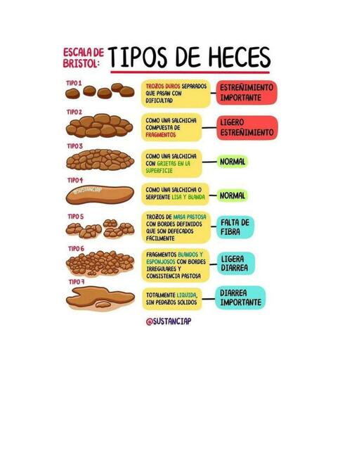 Qué es la escala de heces de Bristol | Medicina y Farmacia | uDocz🥎 ...