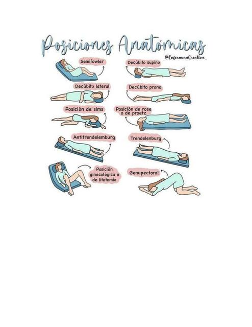 Posiciones Anatómicas | veronica | uDocz
