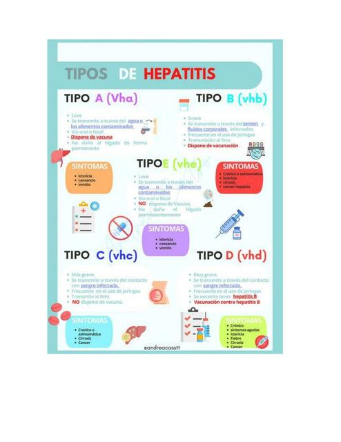 Tipos de hepatitis | veronica | uDocz
